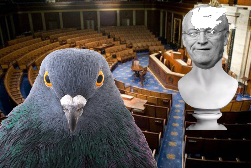 D.C. Area Pigeon Promises to 'S*** All Over' Cheney Statue 'Like He S ...