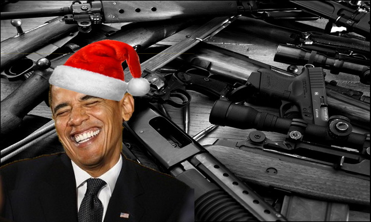 Obama's Gun Confiscation Count: Week #359 - Christmas Eve Edition
